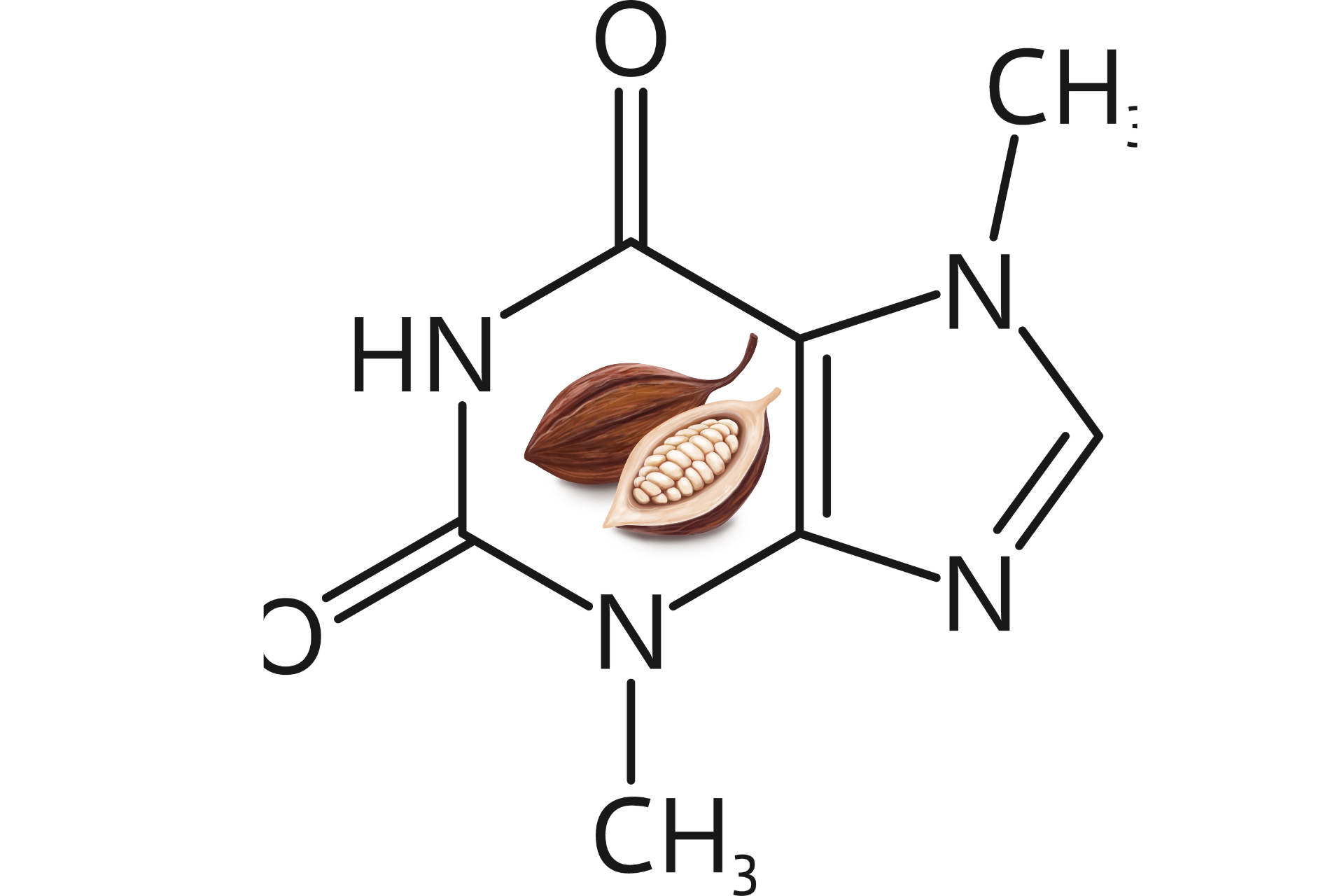 Balazo – Kakao ceremonialne i naturalne rytuały dla ciała i zmysłów